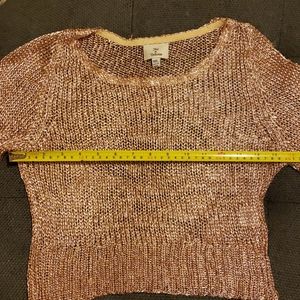 Hot & Delicious | Sweaters | Rose Gold Metallic Crop Sweatee | Poshmark